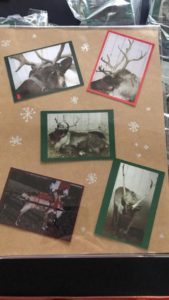 Reindeer Trading Cards - Shop Classic Claus